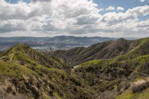 Where to Birdwatch in Los Angeles – Global Birding Initiative