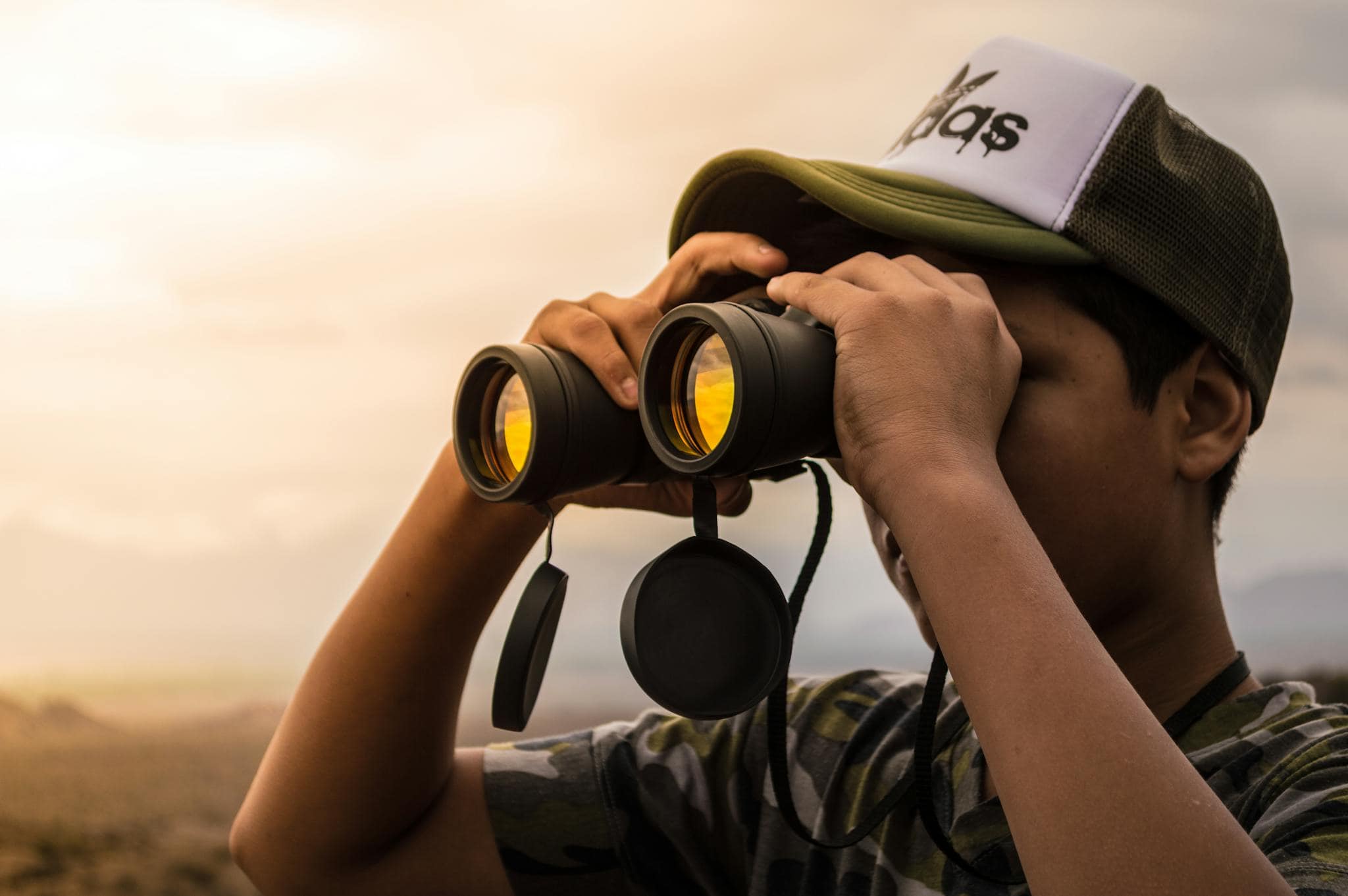 Blue and white birds – Global Birding Initiative